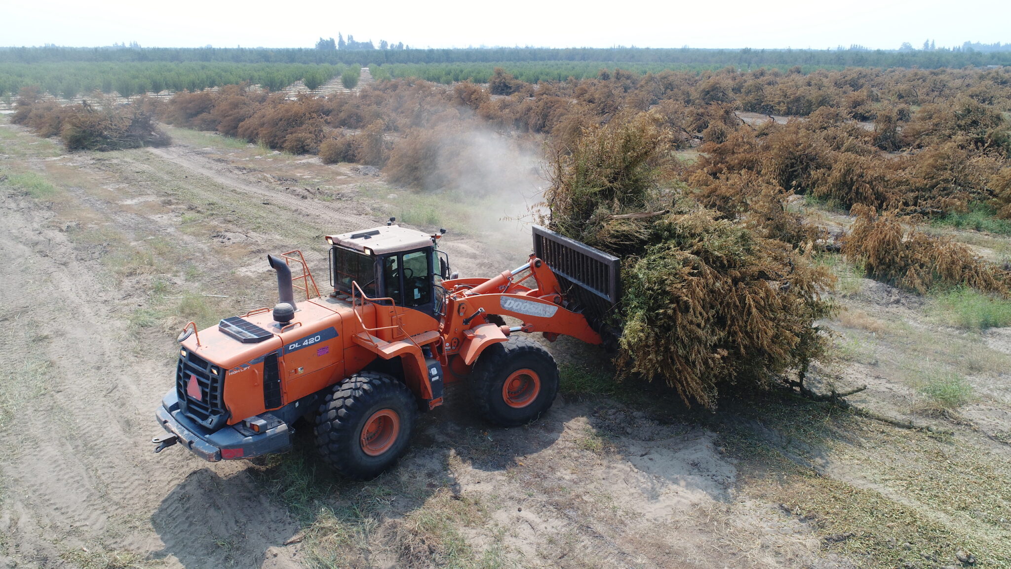 Orchard Removal & Tree Grinding - Custom Farm Services